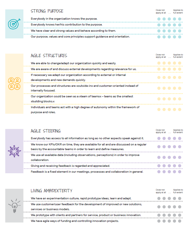 Agility Assessment - ICG NL